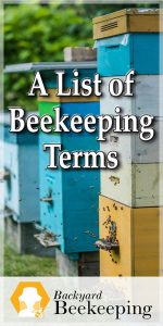 LIST: Common Beekeeping Terms You Should Know - Backyard Beekeeping